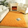 Noahas Luxurious Soft Indoor Area Rug, Fluffy Modern Shaggy Rug for ...