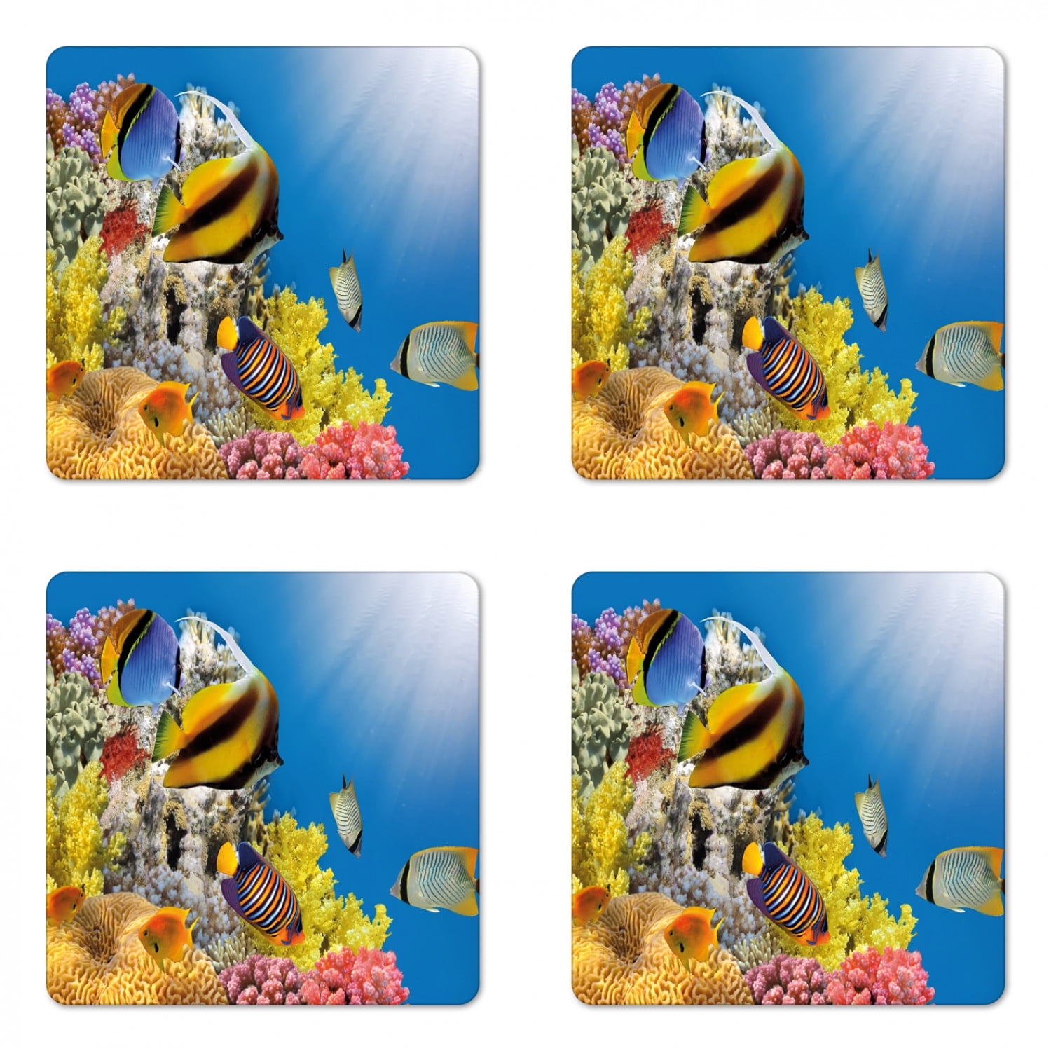 Ocean Coaster Set of 4, Coral Colony on a Reef Top in Red Sea Egypt ...