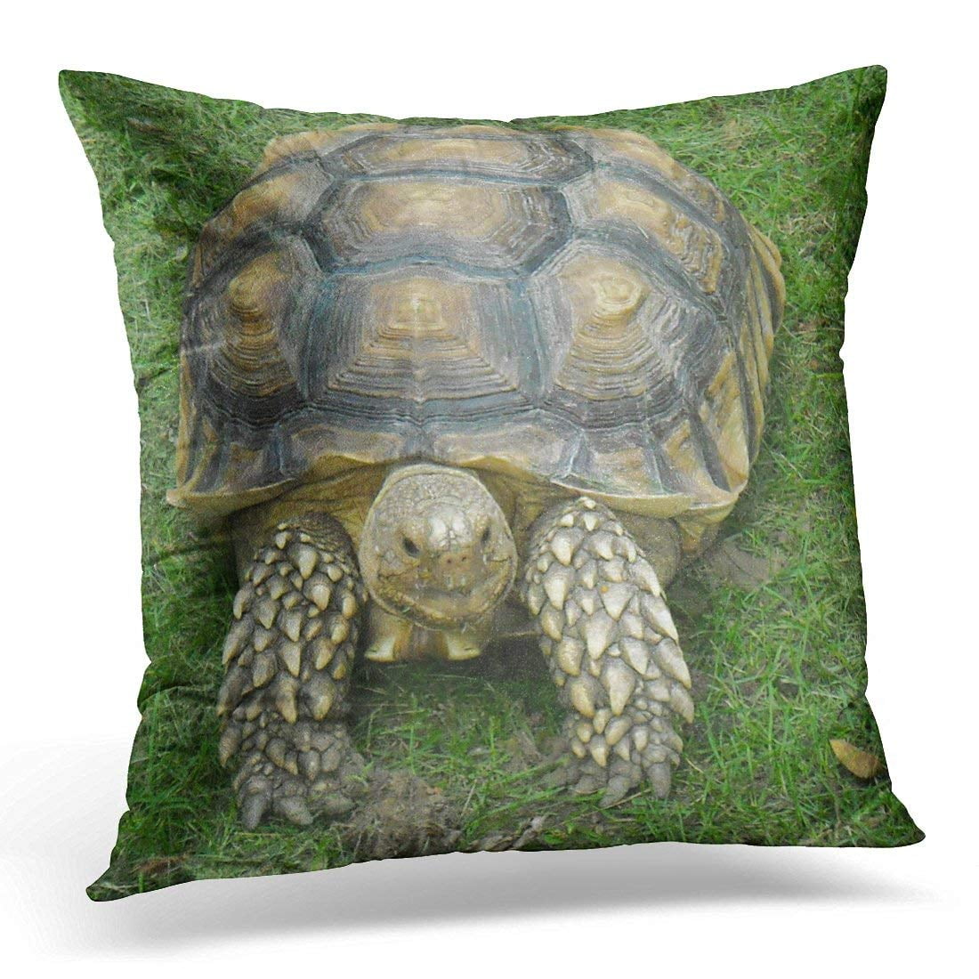 BSDHOME Turtle Tortoise African Spur Reptile Nature Animal Pillowcase ...