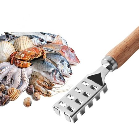 ShenMo Made in Japan [Extra Large] Fish Scaler Brush with Brass ...