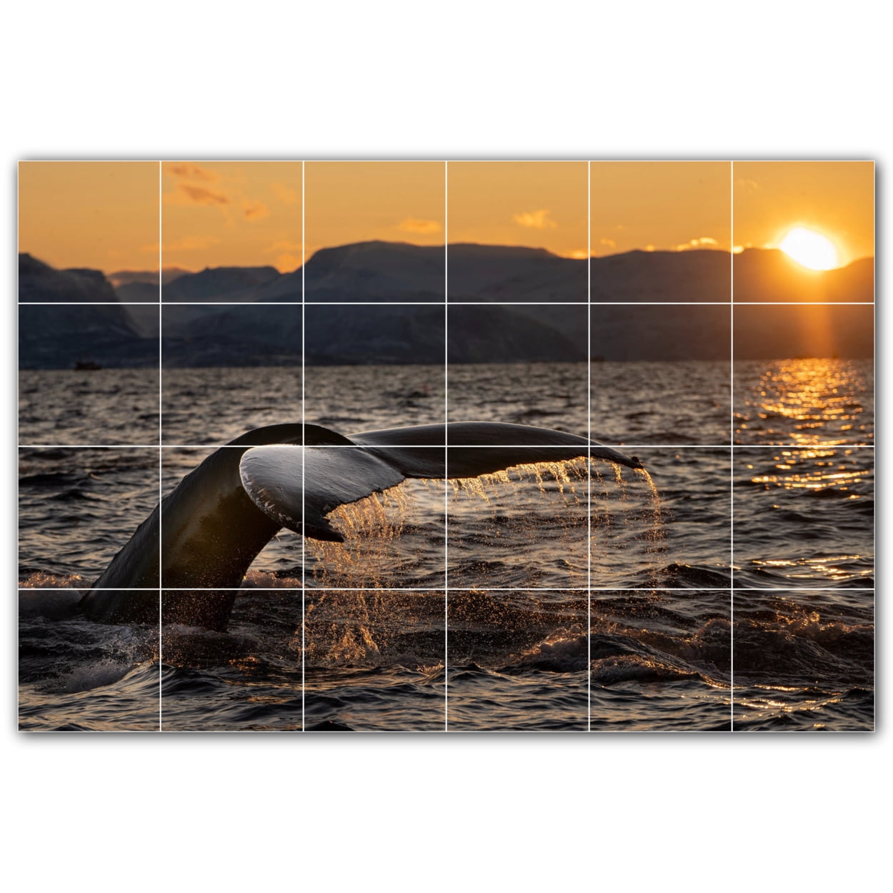 Picture-Tiles.com: Whale Ceramic Tile Wall Mural WAL501185-64L. 48"W x ...