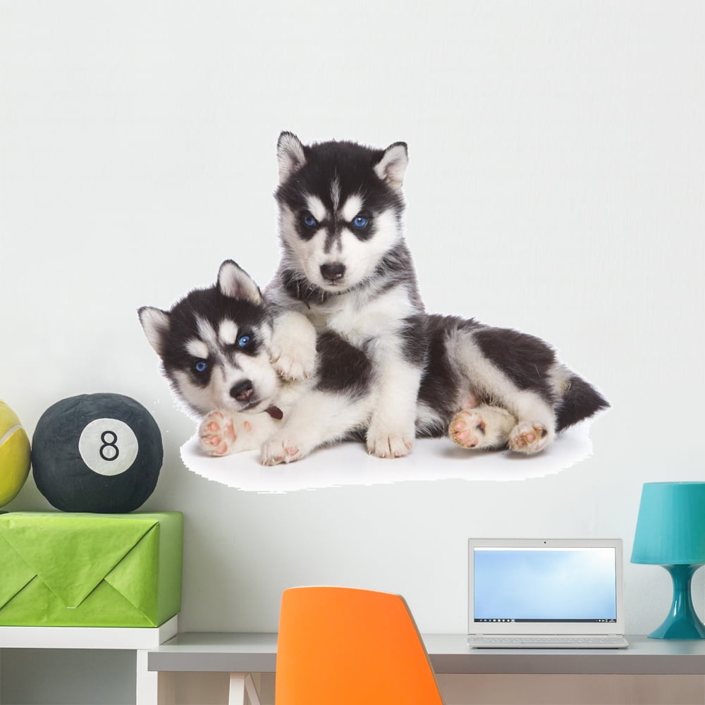 Siberian Husky Puppy White Wall Decal by Wallmonkeys Peel and Stick ...