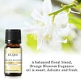 EUQEE 6PCS Floral Fragrance Oils Gift Set, Honeysuckle, Lilac, Violet, Magnolia, Orange Blossom ...