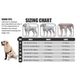 Dog Recovery Suit for Front Legs, Dog Recovery Sleeves After Surgery ...