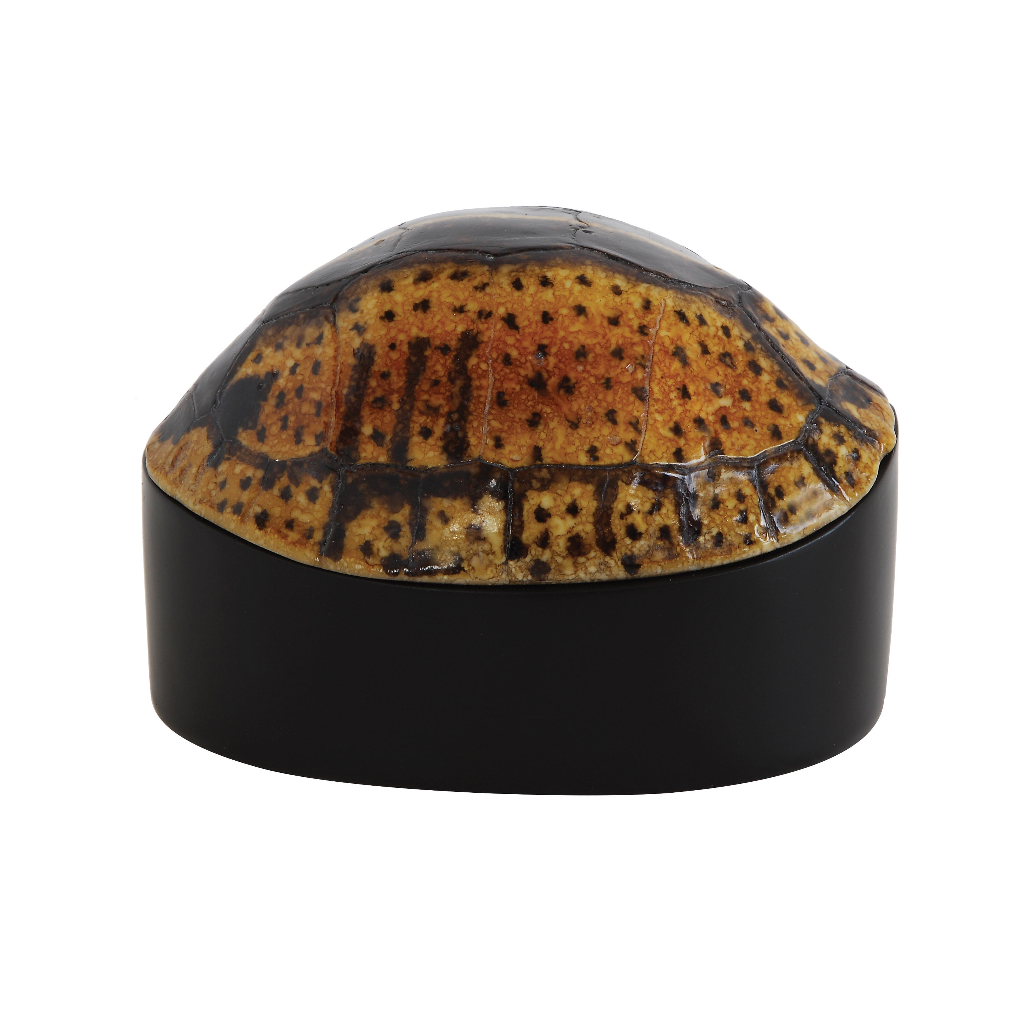 Creative Co-Op Resin Turtle Shell Box - Walmart.com