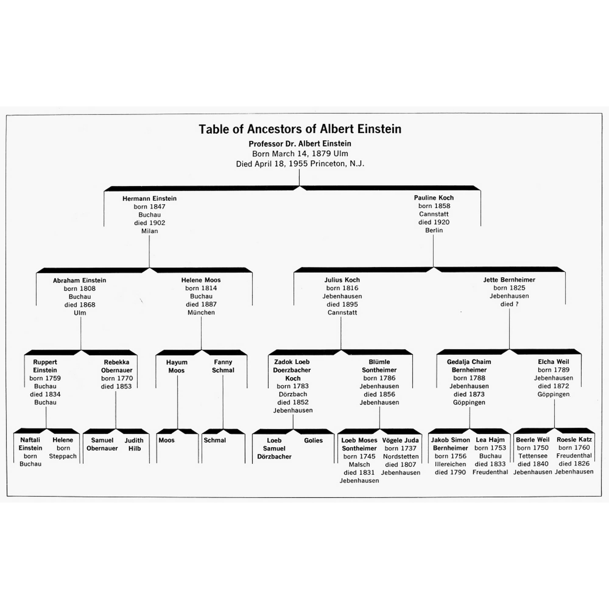 Albert Einsteins Family Tree