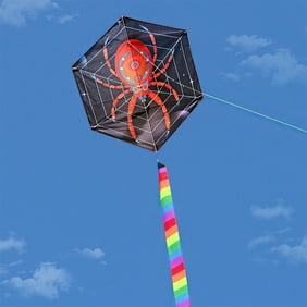 HQ Kites Roto Spinning Box Kite - Walmart.com