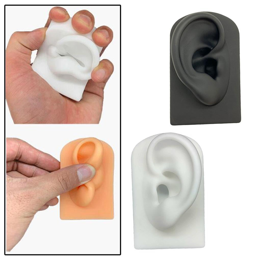 de 2 herramientas de enseñanza de modelo de oreja , herramienta de perforación, herramienta de ...