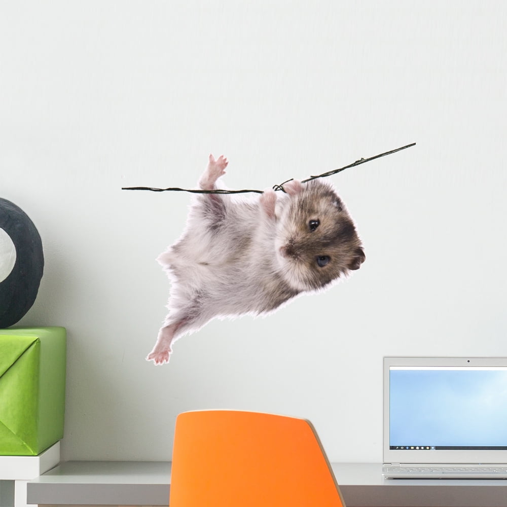 Little Dwarf Hamster Wall Decal by Wallmonkeys Peel and Stick Graphic ...