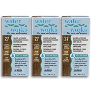 Water Works Permanent Powder Hair Color #24 Natural Medium Brown (6 ...