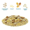 Audubon Park Waste Free Wild Bird Food, Dry, 1 Count per Pack, 15 lbs ...
