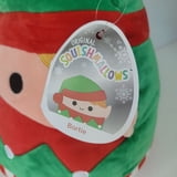 Squishmallows Official Kellytoys Plush 12 Inch Bartie the Elf Christmas ...