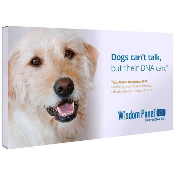 Wisdom Panel 2.5 Breed Identification DNA Test Kit - Walmart.com