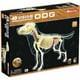 4D Vision Full Skeleton Dog Model - Walmart.com