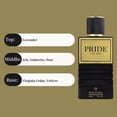 Pride For Men EDP Spray 100Ml (3.4OZ) by Bonanza Satrangi | Long ...