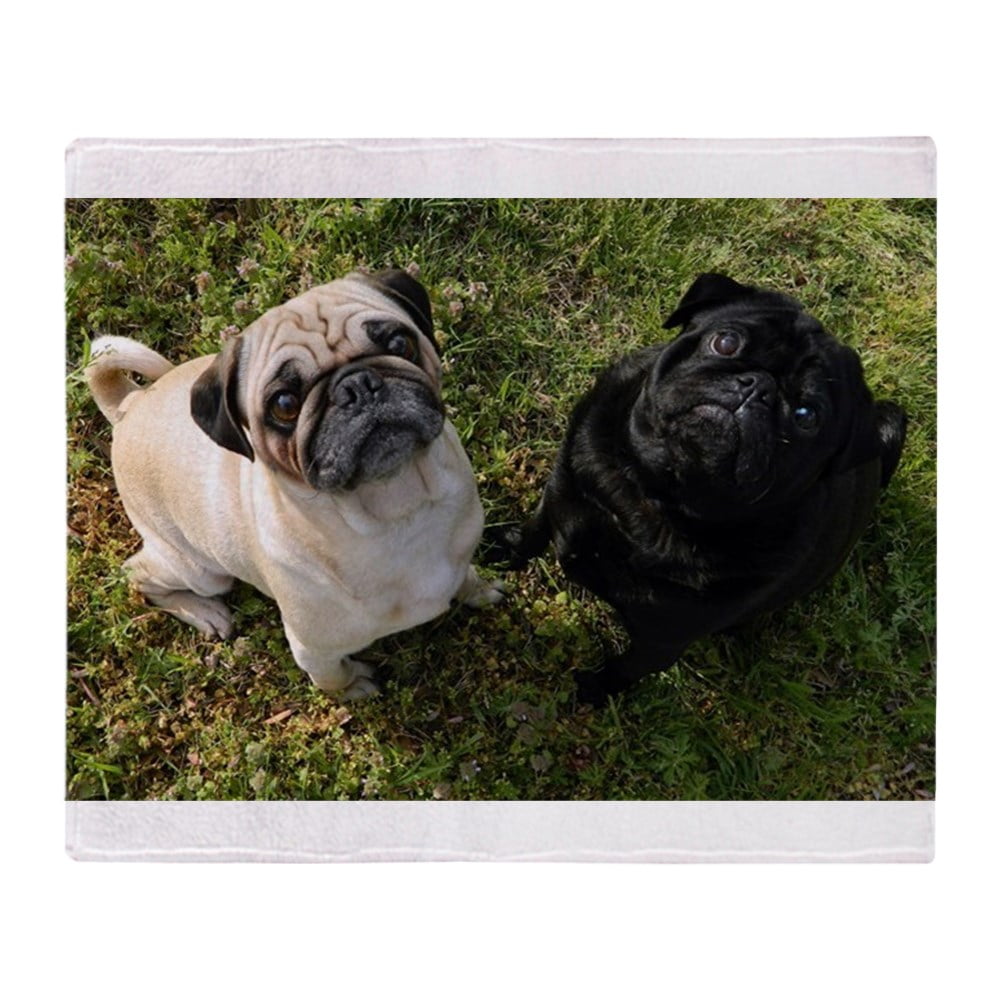 CafePress - Pug Throw Blanket - Soft Fleece Throw Blanket, 50"x60 ...