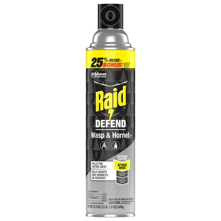 Raid Defend Outdoor Defense System Wasp and Hornet Insect Killer Spray ...
