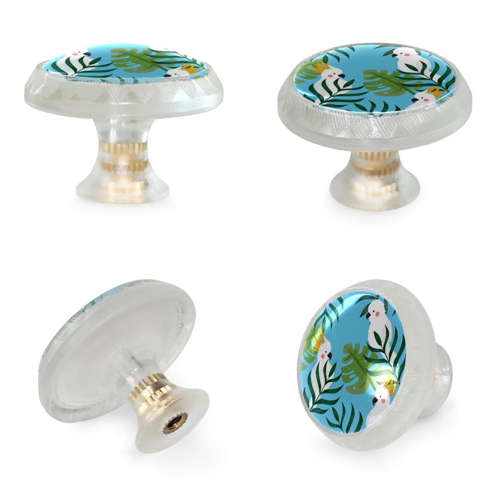 4 Pcs Parrot Transparent Knobs for Kitchen Cabinet Cupboard Dresser ...