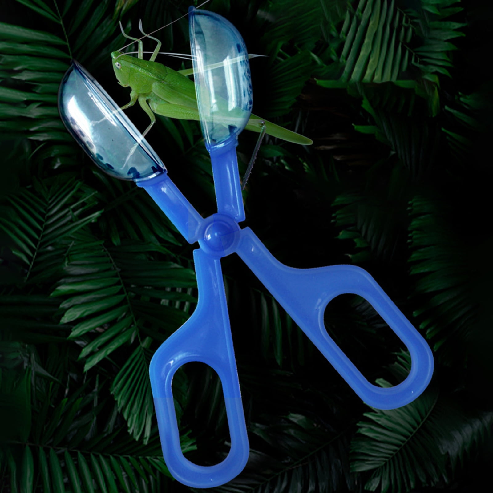 Travelwant 2Pcs/Set Reptiles Feeding Tongs and Cleaning Tool - Lizard ...