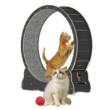 Pefilos 42" 4-in-1 Cat Exercise Wheel for Indoor Cats, Large Cat ...