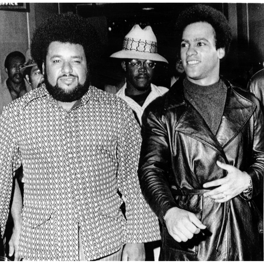 Huey Newton History (24 x 18) - Walmart.com - Walmart.com