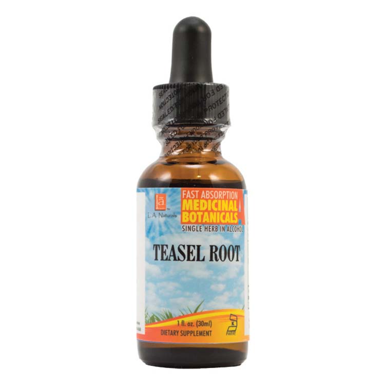 L A Naturals Teasel Root Xu Duan, 1 Oz - Walmart.com