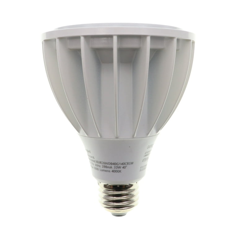 3000 Lumen Led Flood Light Bulb Outlet | centralcountiesservices.org