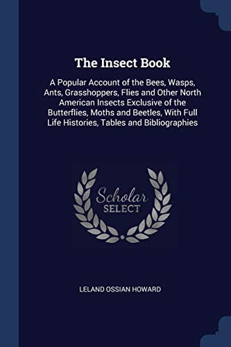 The Insect Book : A Popular Account of the Bees, Wasps, Ants ...