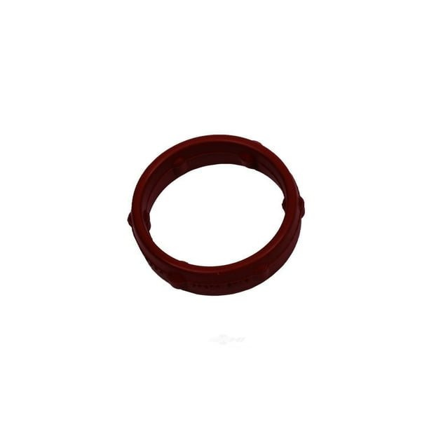 Oil Cooler Seal