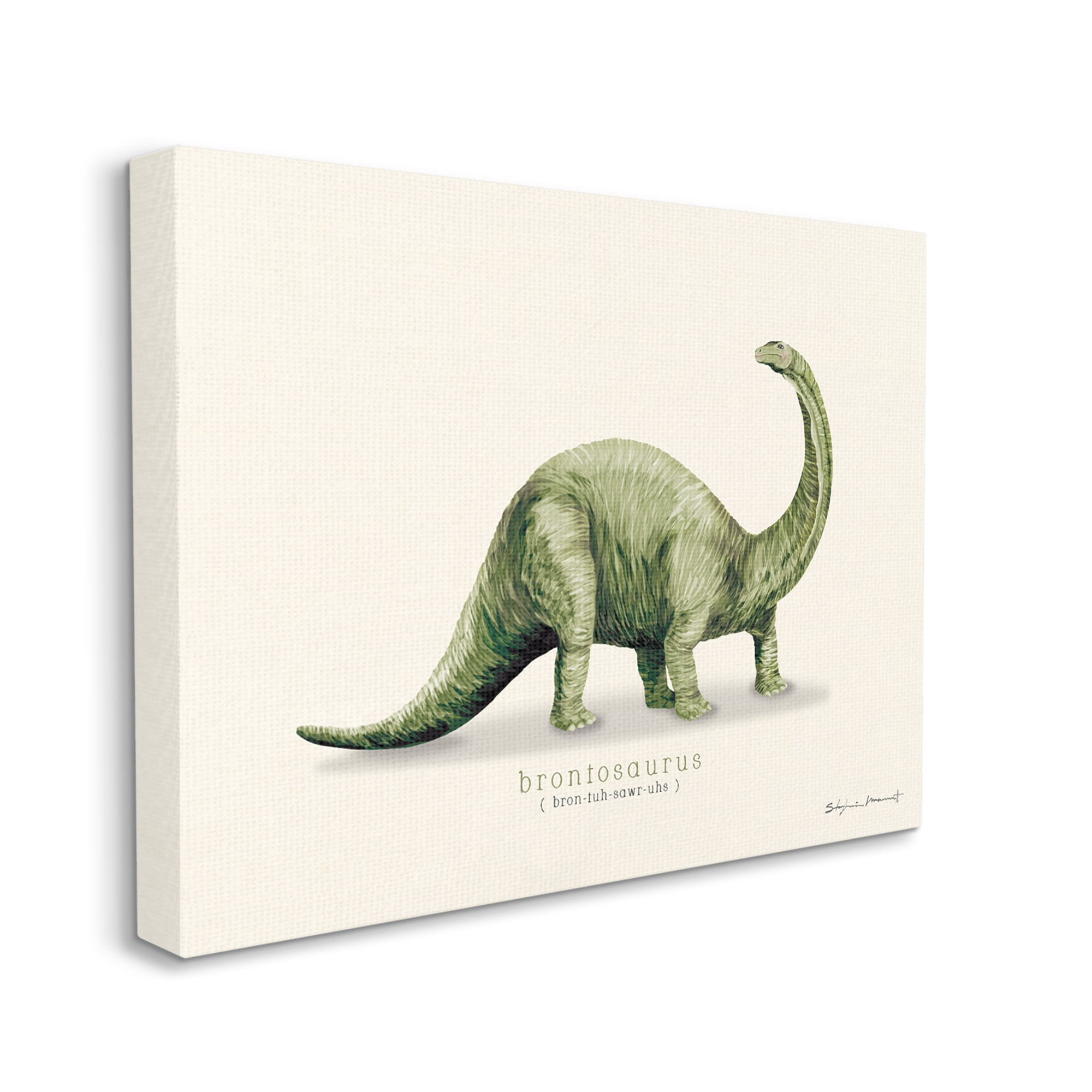 Brontosaurus Dinosaur