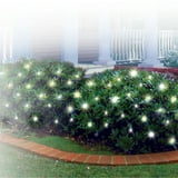 EZ Illuminations 100-Count Dual Color Twinkle LED Net Christmas Lights ...