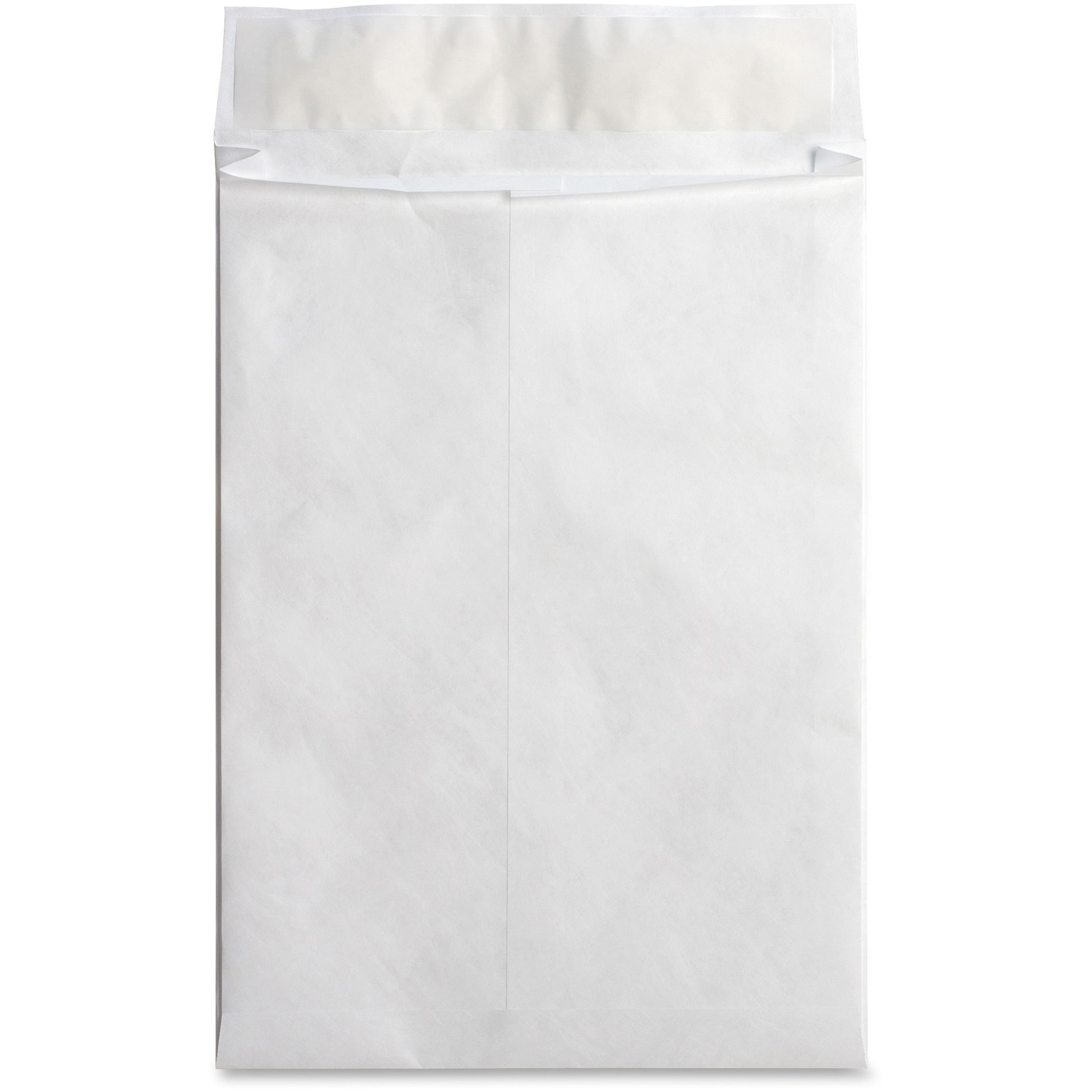 Business Source, BSN42201, Tyvek Expansion Envelopes, 100 / Carton ...