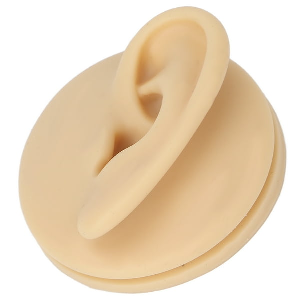 Ear Model, Simulation Human Ear Model Easy Professional for Teaching ...