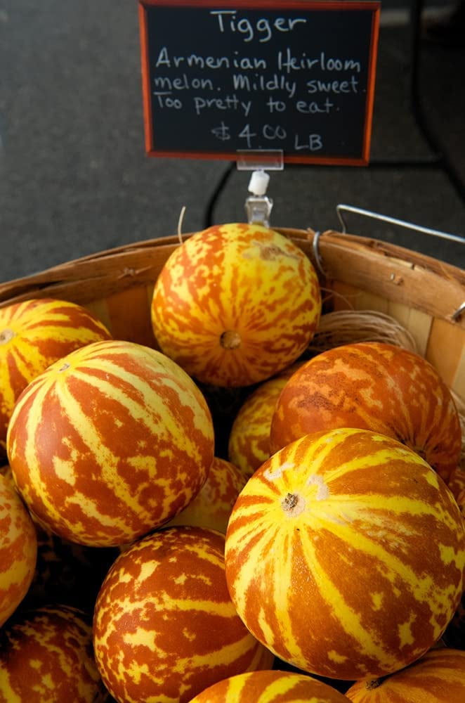 10 Rare Tiger Melon Seeds | Exotic Garden Fruit Seeds to Plant | - Walmart.com