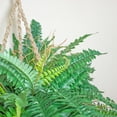 HomeStock Island Interiors Fern Hanging Basket - Walmart.com