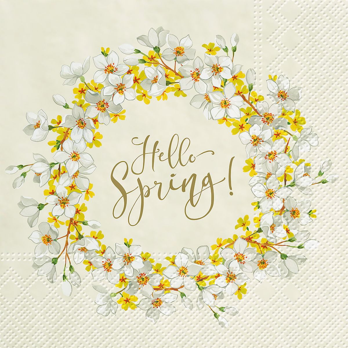 Set of 12 Luncheon "Hello Spring" Napkins 20 Pack - Walmart.com
