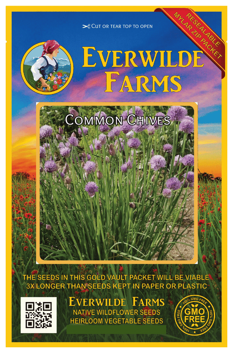Everwilde Farms - 1000 Common Chives Herb Seeds - Gold Vault Jumbo Bulk ...