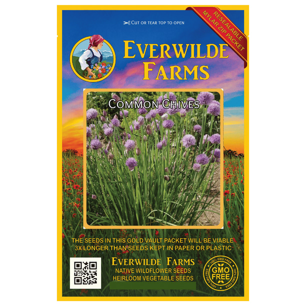 Everwilde Farms - 1000 Common Chives Herb Seeds - Gold Vault Jumbo Bulk ...