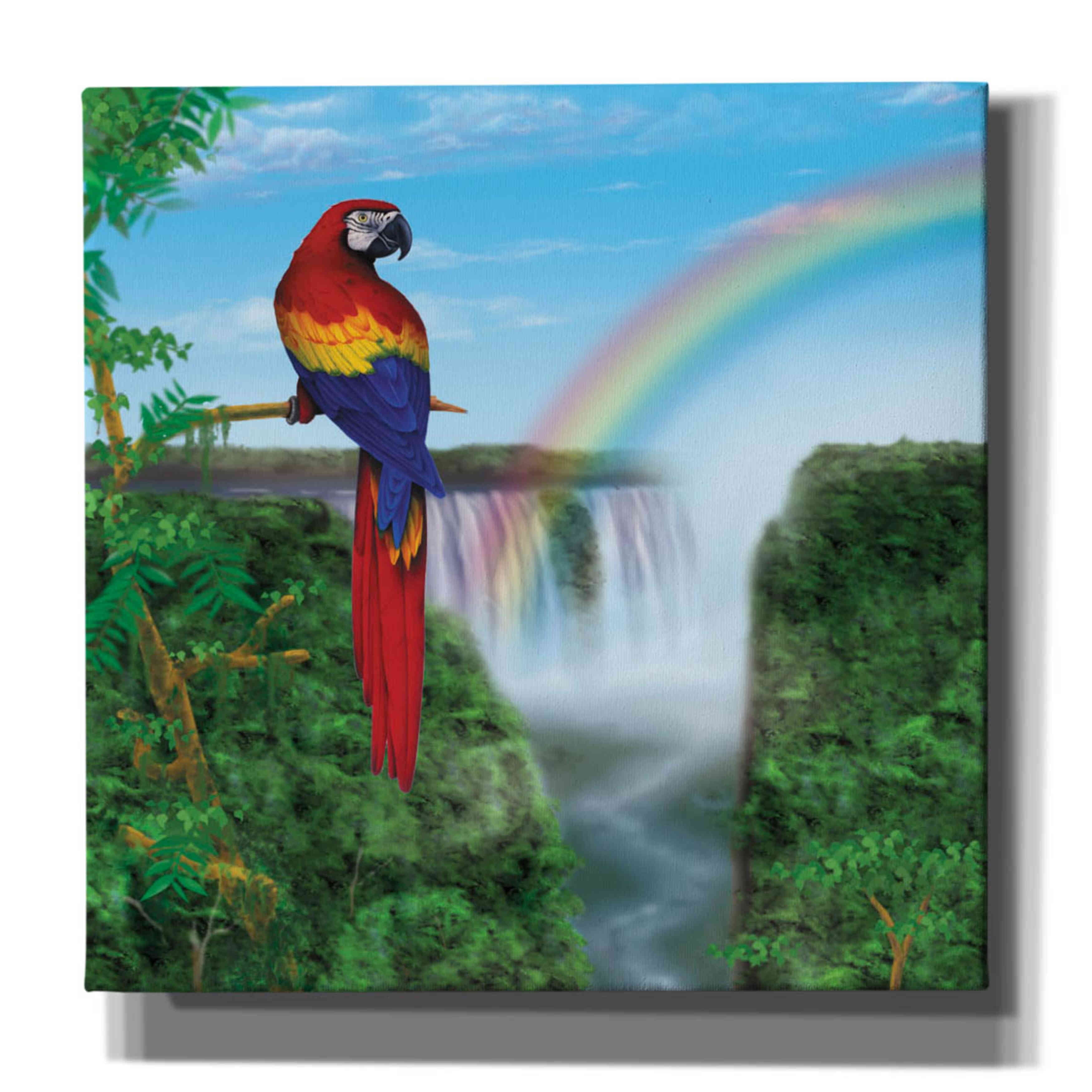 Epic Graffiti 'Macaw' by Chris Dobrowolski, Canvas Wall Art, 18"x18 ...