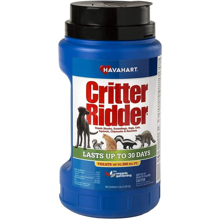 Critter Rider Funciona En Perros