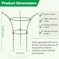 4 Pack Peony Cages and Supports Cages 13" D x 22.8" H Heavy Duty Metal ...
