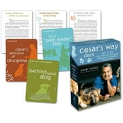 Cesar Dog Training