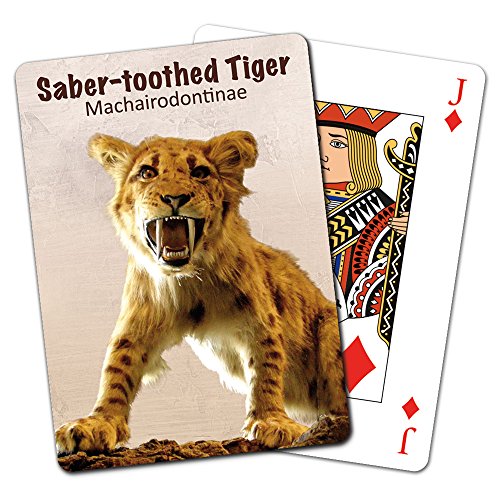 Tree-Free Greetings Deck of Playing Cards 2.5 x 0.8 x 3.5 Inches Saber ...