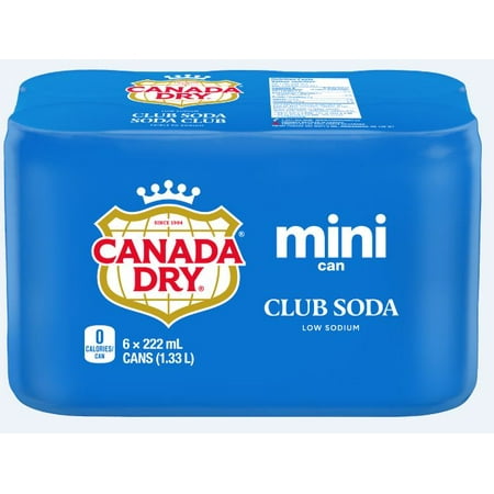 Canada Dry® Club Soda 222 mL Mini-Cans, 6 Pack, 222mL x 6 - Walmart.ca