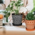 6 inch Plant Pots Indoor, Black Plant Pots with Drainage Holes and ...