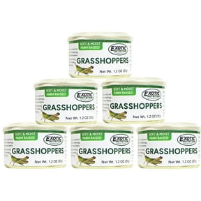 Exotic Nutrition Live Mealworm Breeder Starter Kit - Walmart.com
