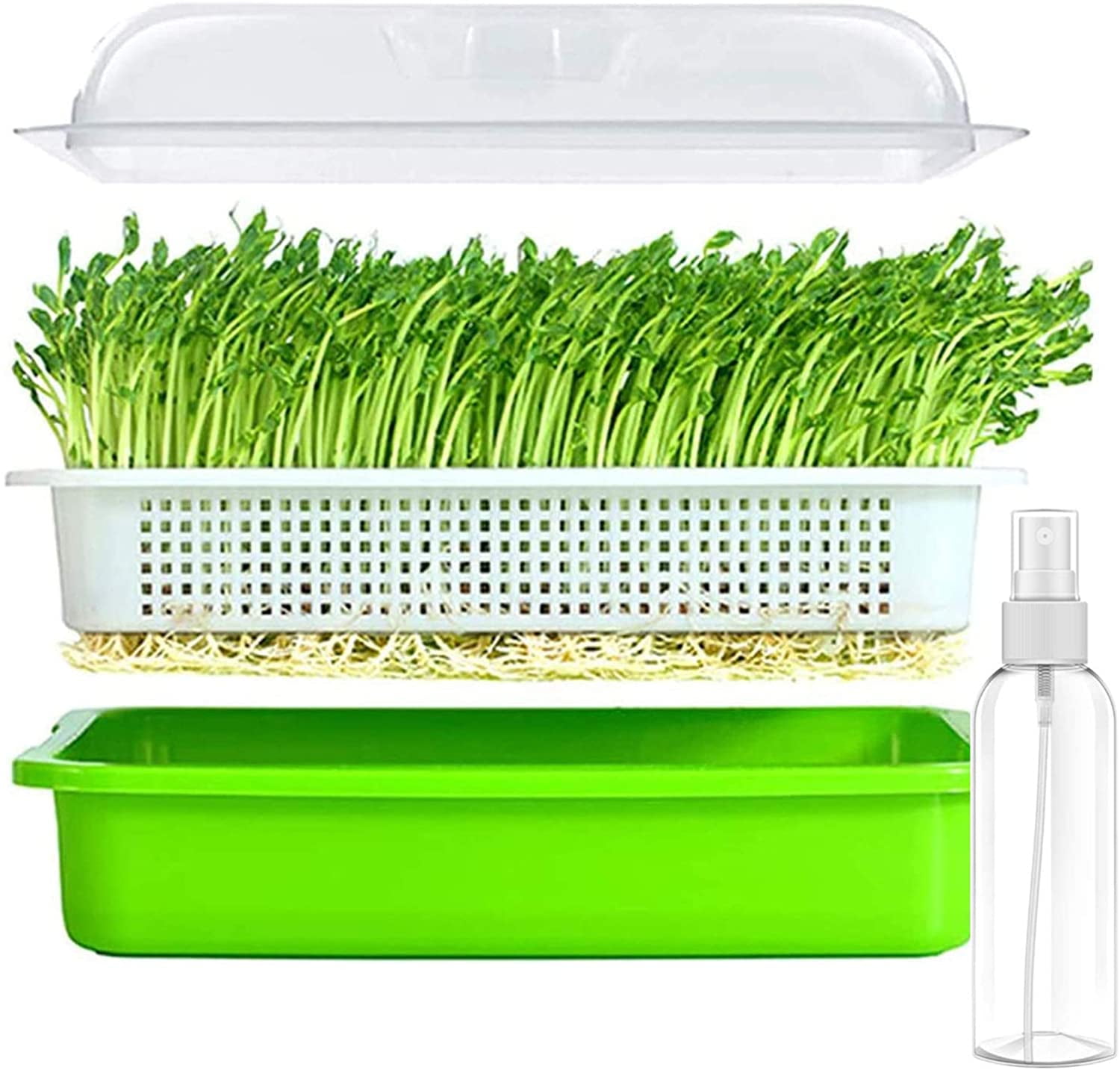 Seed Sprouter Tray, Dirt Free Way and Big Capacity Sprouter, Perfect ...