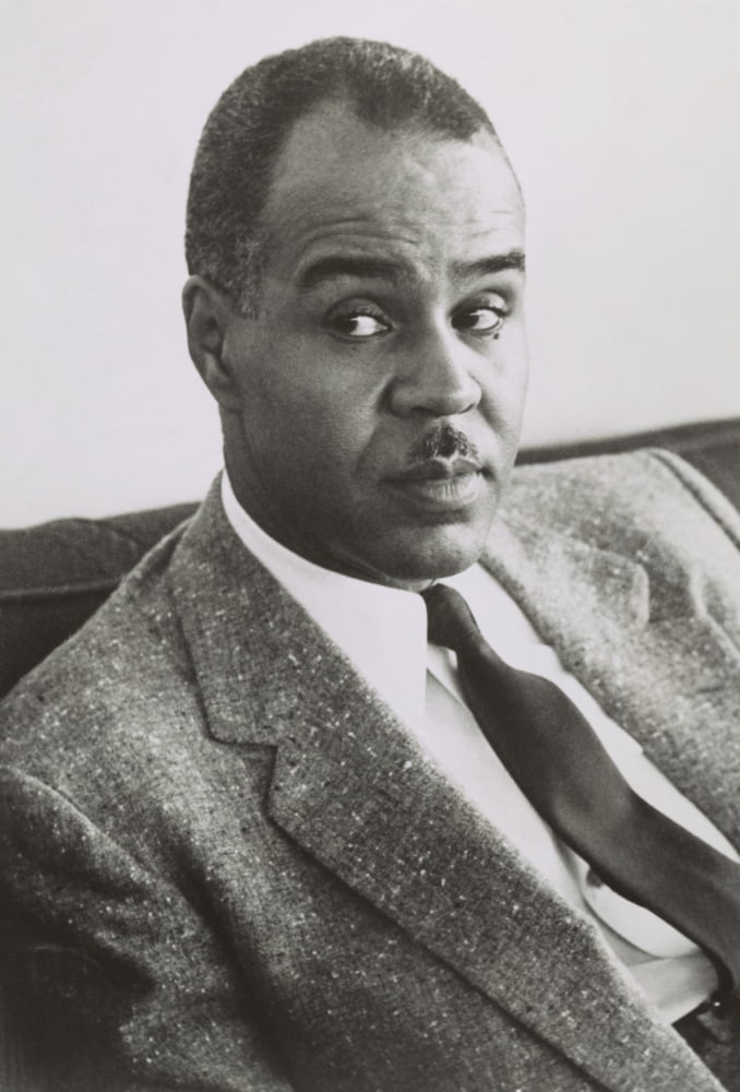 Roy Wilkins History (24 x 36) - Walmart.com - Walmart.com