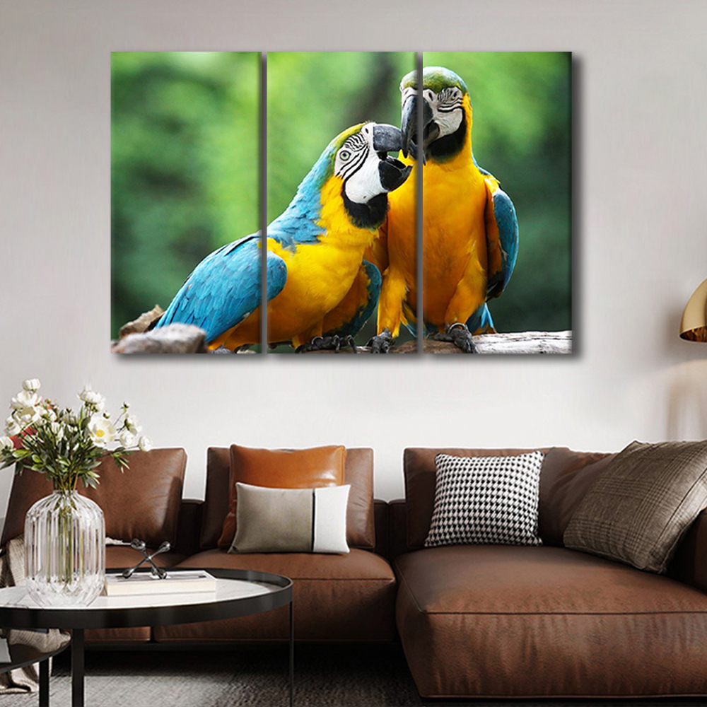 TISHIRON 3PCS Framed Canvas Wall Art Set,60"x40" Macaw Kissing Canvas ...