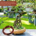 UPGRATOR 1Set Garden Bonsai Wire Roll for Easy Plant Shaping and Bonsai ...